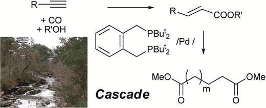 Highly selective formation of unsaturated esters or cascade reactions ...