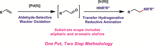 Formal anti-Markovnikov hydroamination of terminal olefins† | Chemical ...