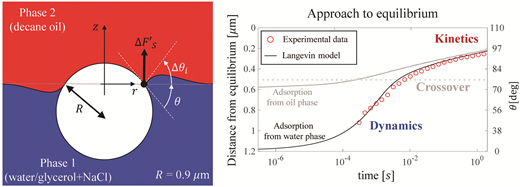 Colloidal particle adsorption at liquid interfaces: capillary driven ...