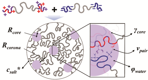 Ionic group-dependent structure of complex coacervate hydrogels formed ...