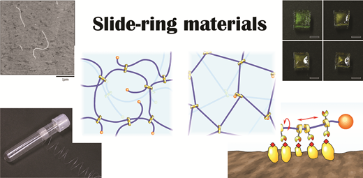 Recent advances in the preparation of cyclodextrin-based polyrotaxanes ...