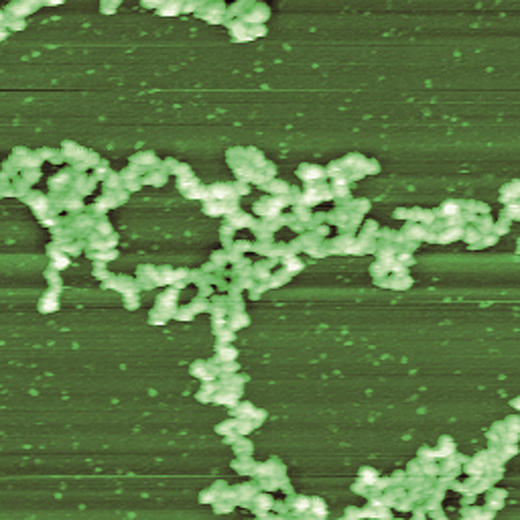Microscopy, microstructure and displacement of proteins from interfaces ...