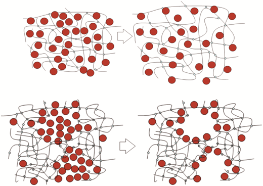 Static and dynamic structural probing of swollen polyacrylamide ...