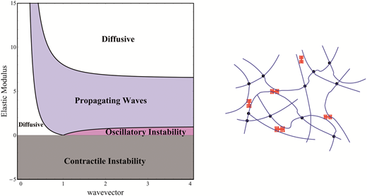 Instabilities and oscillations in isotropic active gels | Soft Matter ...