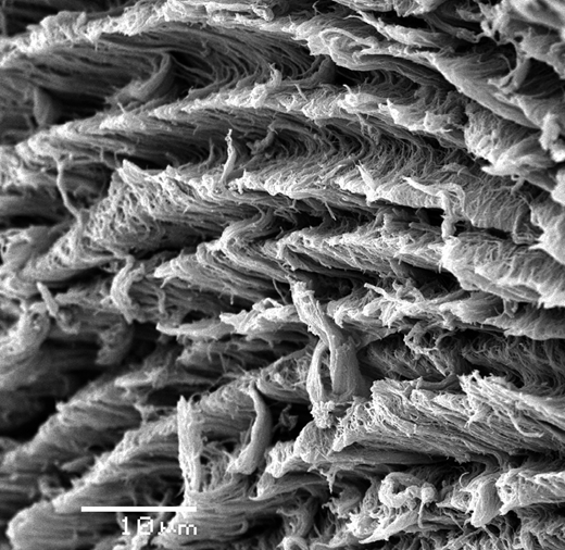 Controlled collagen assembly to build dense tissue-like materials for ...