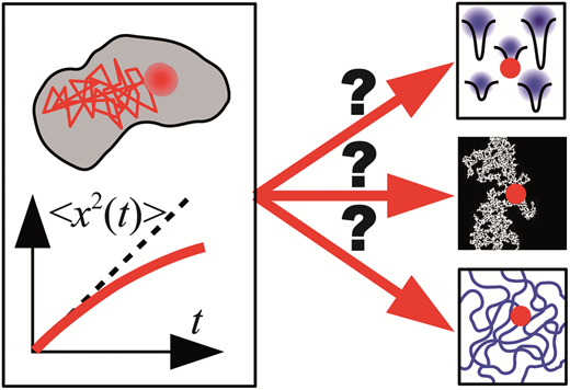 Models of anomalous diffusion in crowded environments | Soft Matter ...
