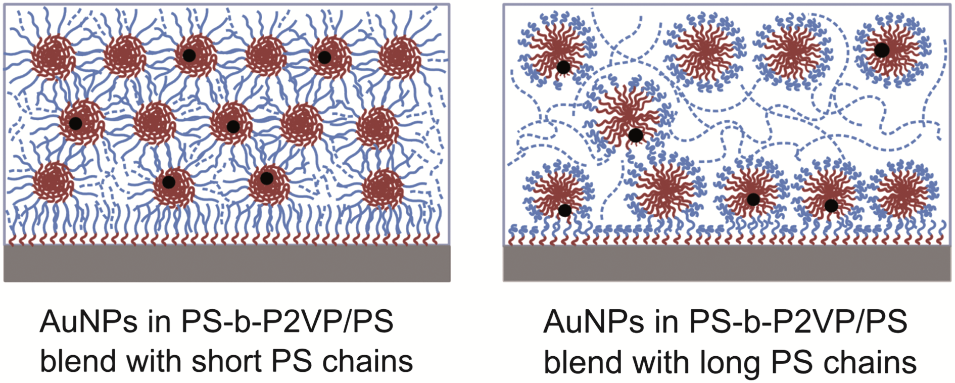 Nanoparticle encapsulation in thin film micellar structures: a physical ...