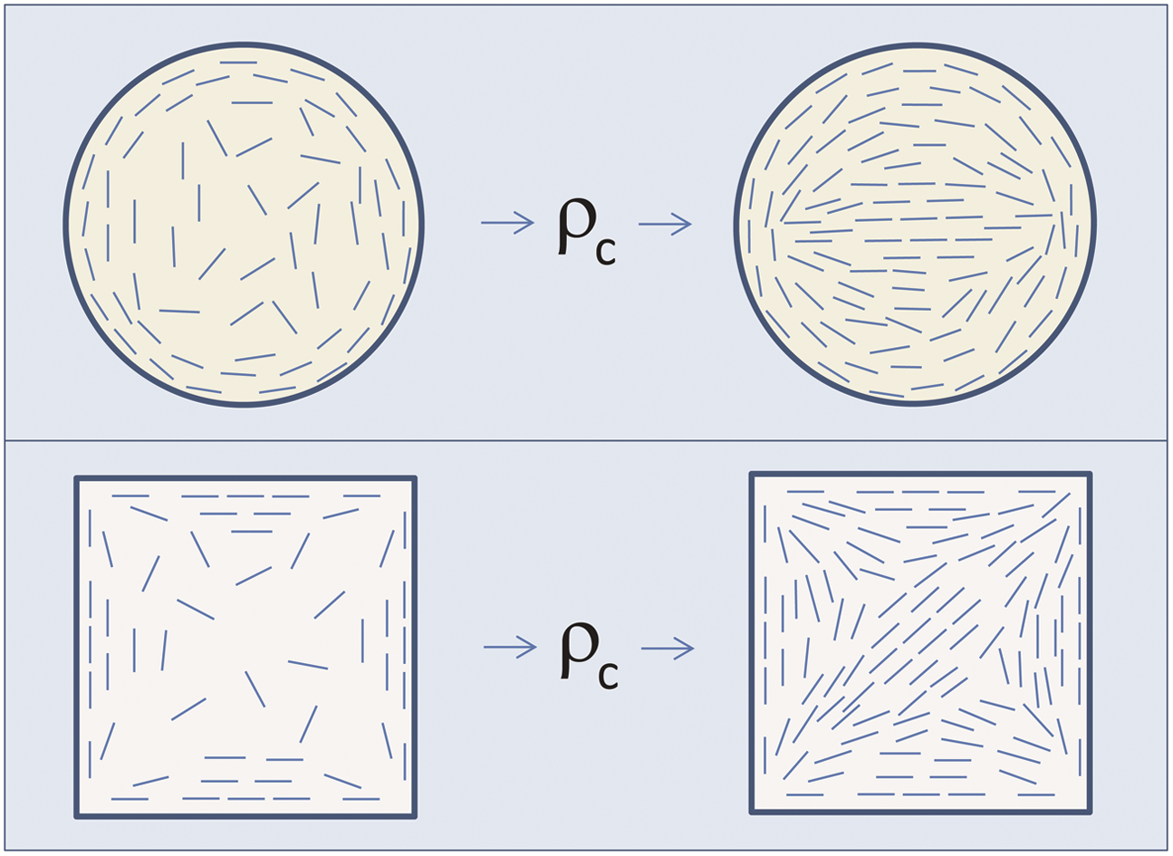 Structure of two-dimensional rods confined by a line boundary | Soft ...