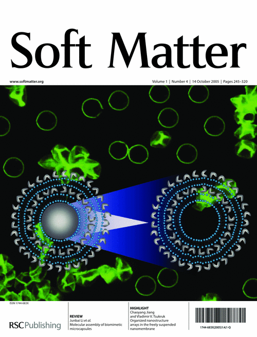 Pore structure in supermacroporous polyacrylamide based cryogels | Soft ...