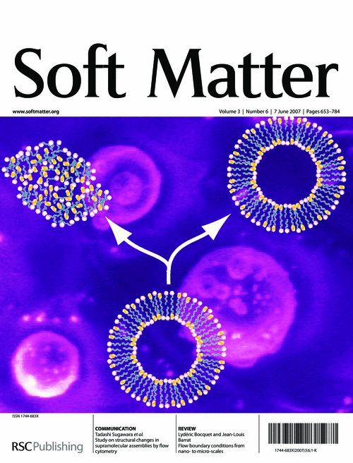 Flow boundary conditions from nano- to micro-scales | Soft Matter | The ...