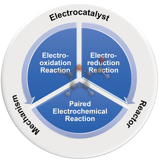 Efficient electrochemical upgradation strategies for the biomass ...
