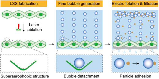 Surface engineering of stainless-steel mesh with superwettability ...