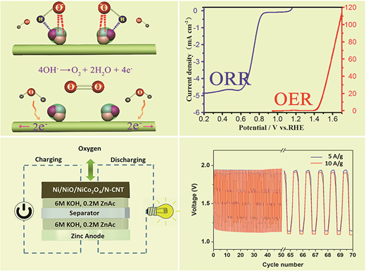 Seaweed biomass derived (Ni,Co)/CNT nanoaerogels: efficient ...