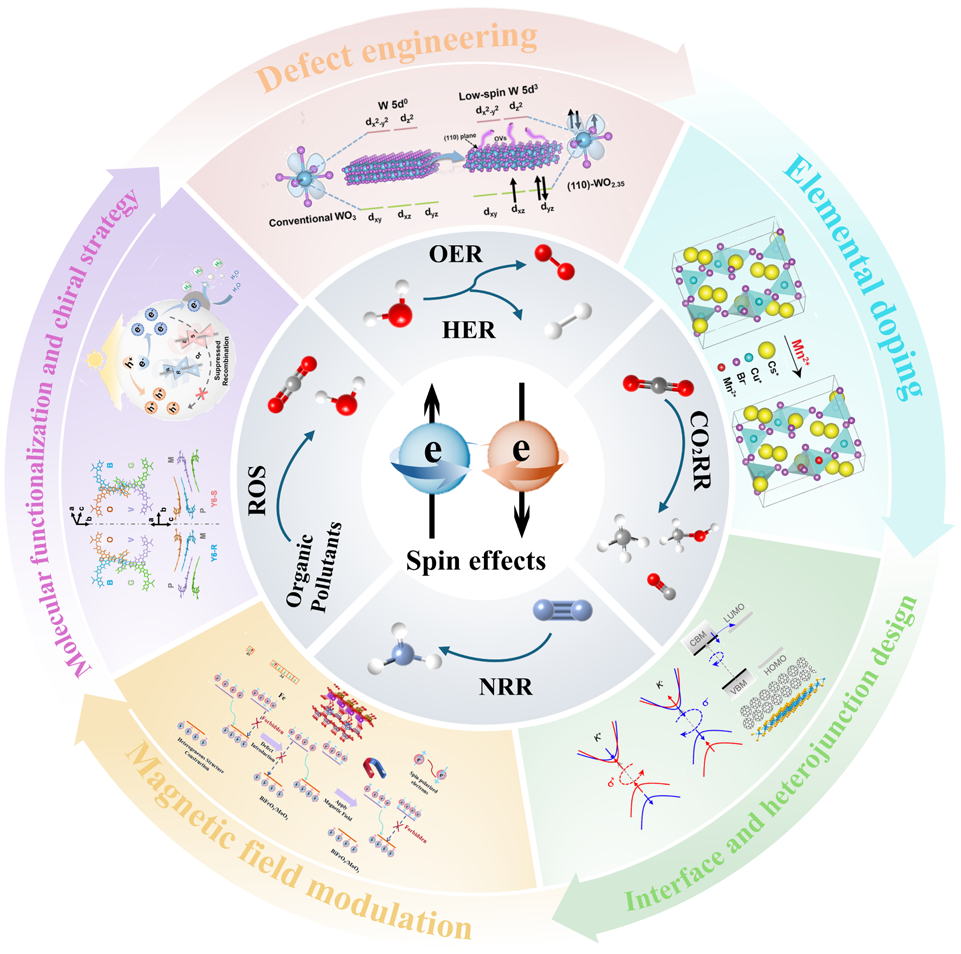Spin effects and modulation strategies in photo-induced catalytic ...