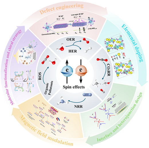 Spin effects and modulation strategies in photo-induced catalytic ...