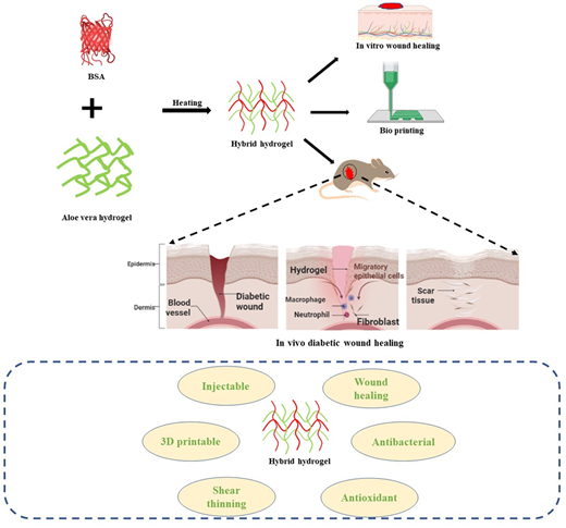 3D printable, injectable amyloid-based composite hydrogel of bovine ...