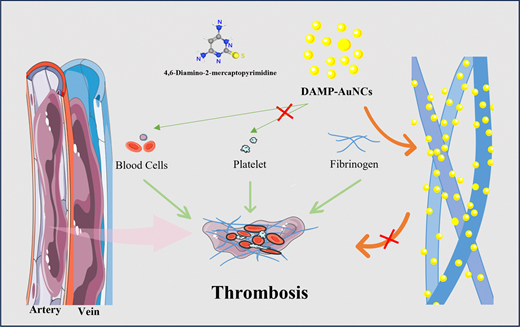 Mercaptopyrimidine-templated gold nanoclusters for antithrombotic ...