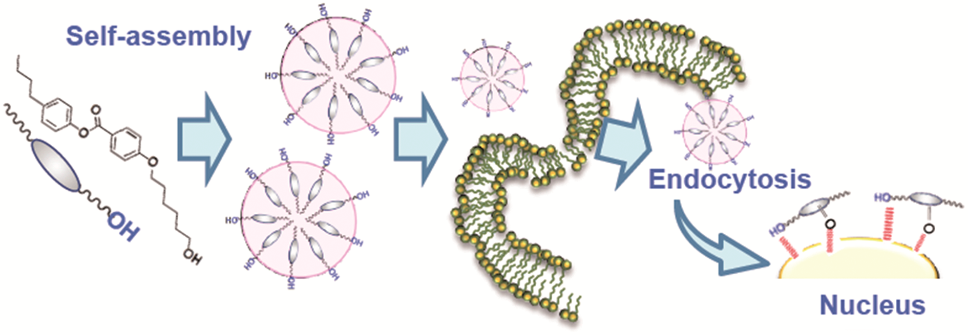 Synthesis and anticancer properties of phenyl benzoate derivatives ...