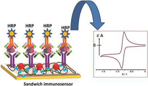 A chitosan modified nickel oxide platform for biosensing applications ...