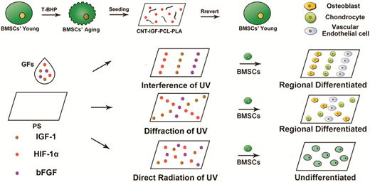 Retracted Article: Growth factors regional patterned and ...