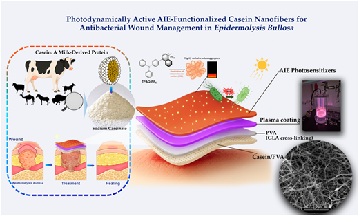 Photodynamically active AIE-functionalised casein nanofibers for ...