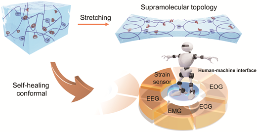 Supramolecular topology controlled self-healing conformal hydrogels for ...