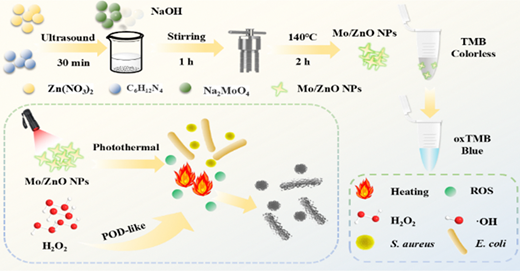 Mo-doped ZnO NPs with NIR light enhance peroxidase-like nanozymes and ...