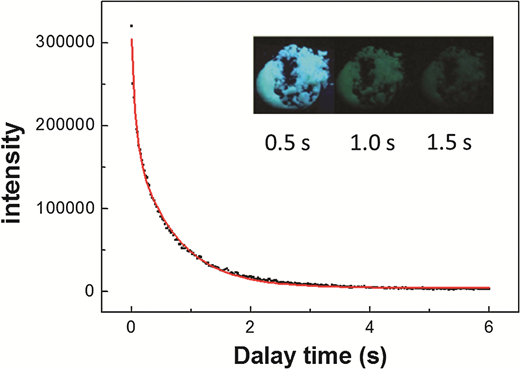 Efficient long lifetime room temperature phosphorescence of carbon dots ...