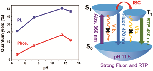 High pH-induced efficient room-temperature phosphorescence from carbon ...