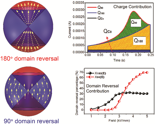 Quantitative studies of domain evolution in tetragonal BS–PT ceramics ...