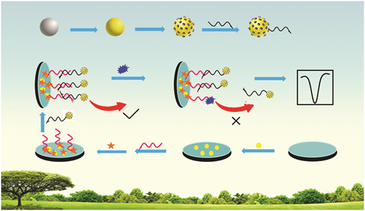 A NiCo2S4@N/S–CeO2 composite as an electrocatalytic signal ...