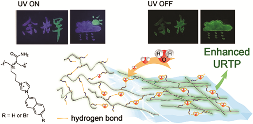 Synergetic enhancement of room-temperature phosphorescence via water ...